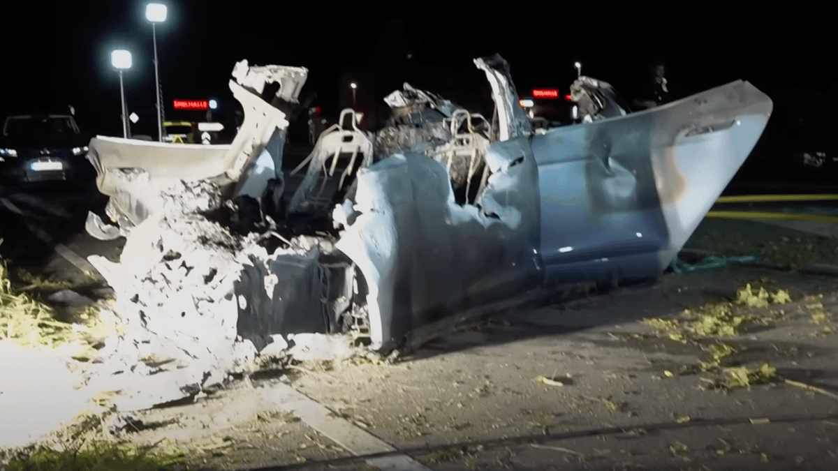 Police say Tesla driver and two kids were burned alive after rescuers ...