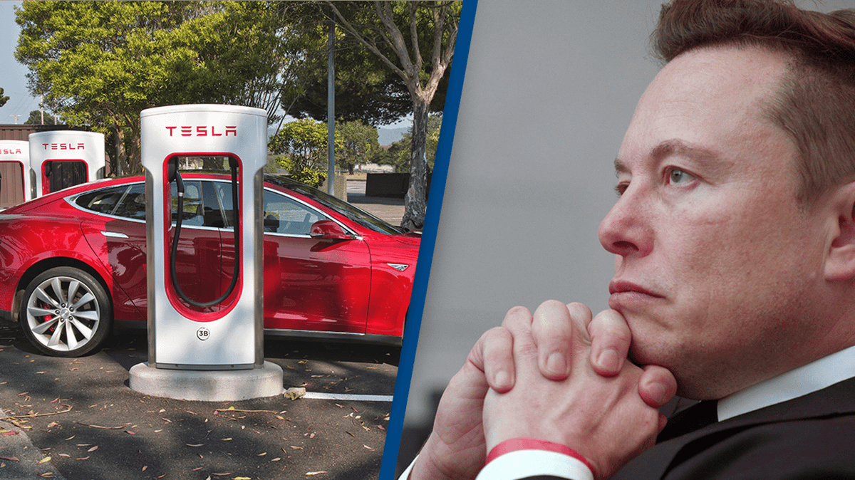 Tesla suffers worst ever stock fall off since the company went public ...