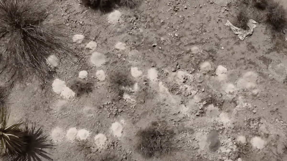Over 100 piles of human remains found in Nevada desert as federal ...