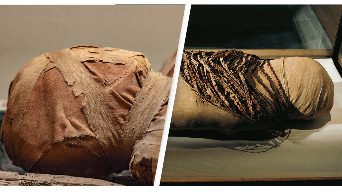 Man found completely mummified just 16 days after he was last seen ...