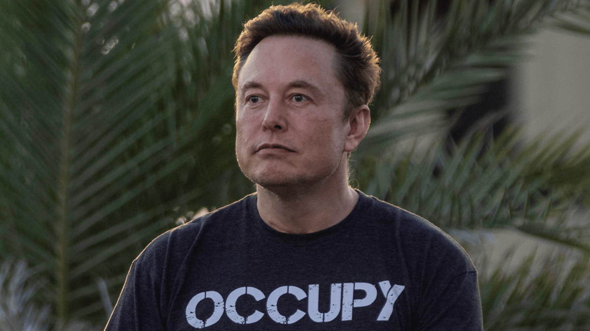 Influencer who claims to be the mother of Elon Musk's '13th child' hits ...