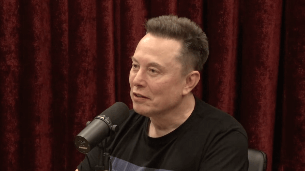 Elon Musk gives his opinion on Trump now following public feud