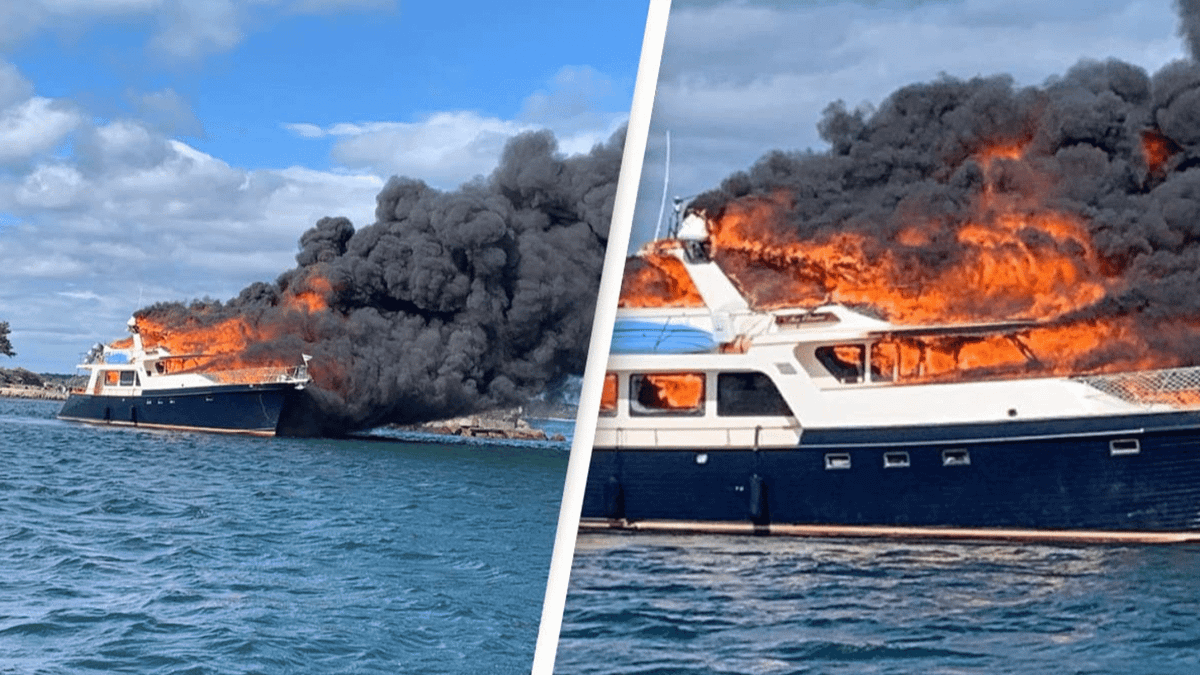 Passengers And Dogs Forced To Jump Overboard As 70-Foot Yach Becomes ...