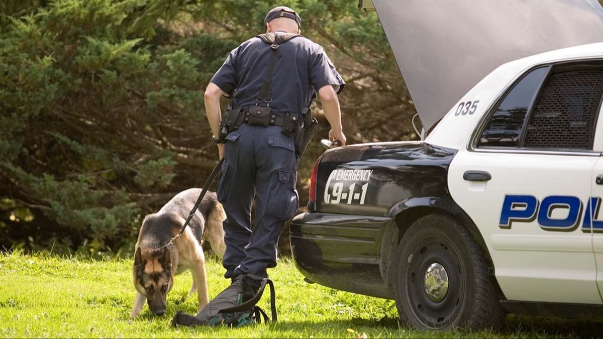 Everything we know about 3 women found dead over 3 days as police ...