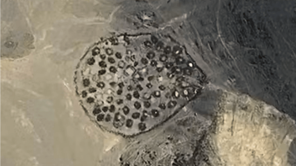 260 mass graves filled with human and animal bones discovered in the ...
