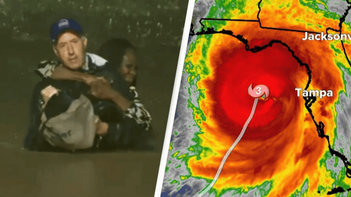 Weatherman stops live broadcast to save woman trapped in 'unsurvivable ...