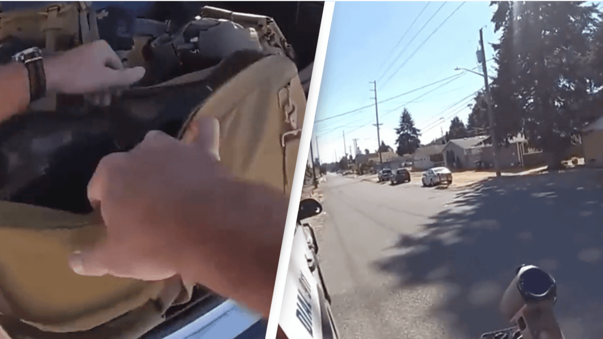 Shocking moment police officer casually drops active shooter from 183 ...