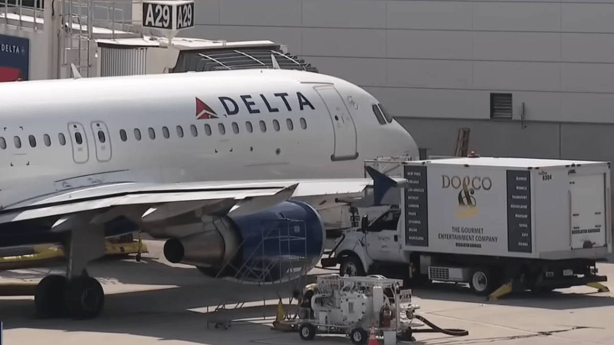 Delta pilot arrested just moments after plane lands as passengers ...