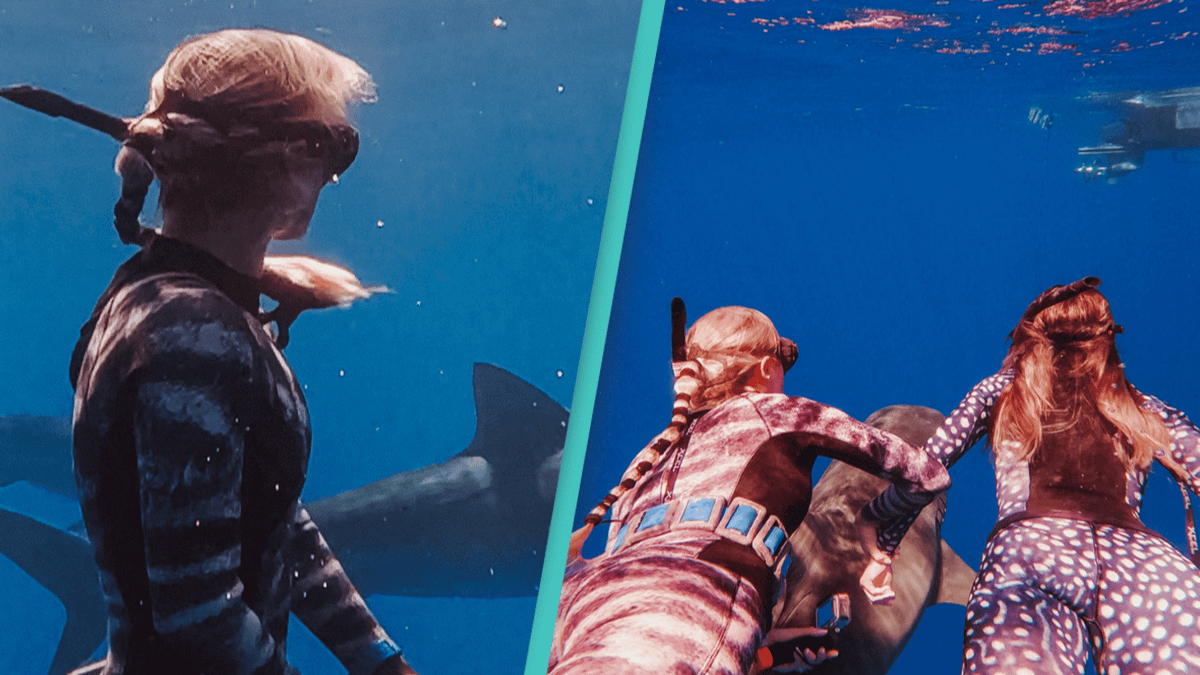Diving expert left stunned as woman jumps into shark-infested waters ...