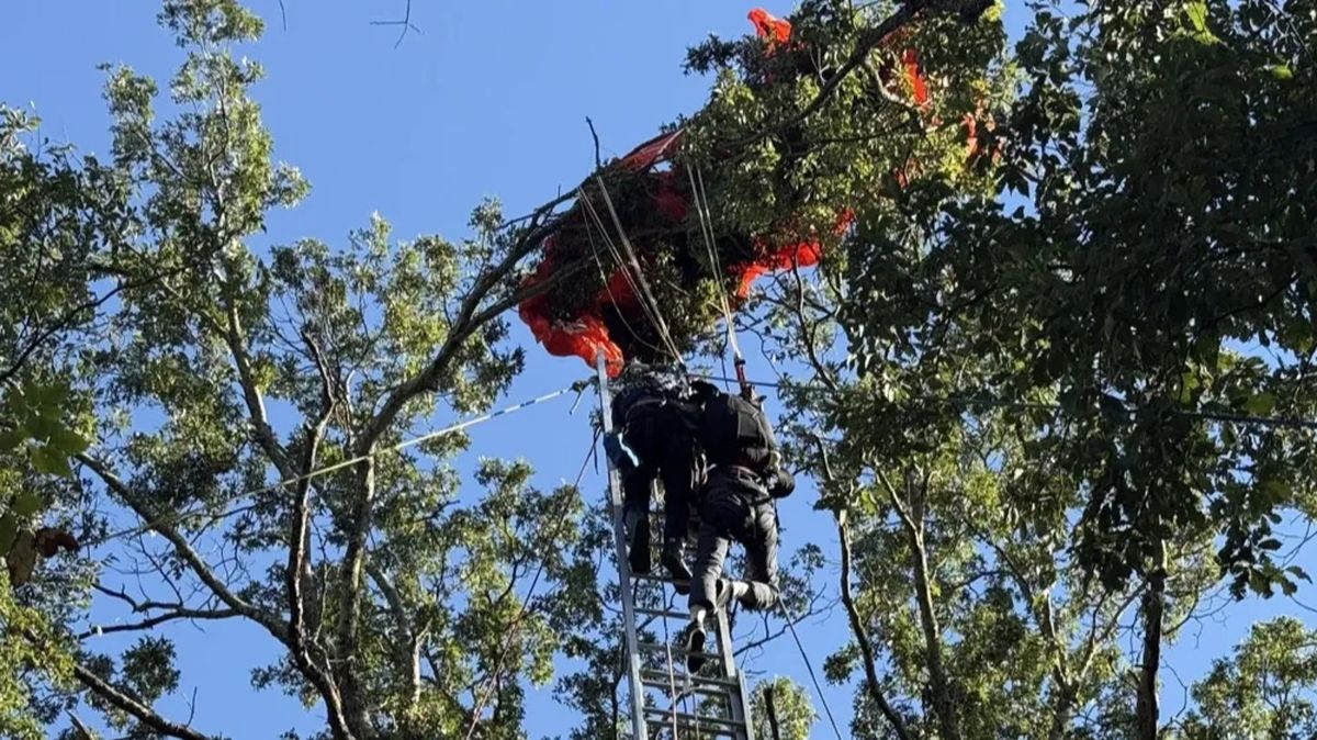 Skydiving instructor dies after falling out of plane without parachute ...