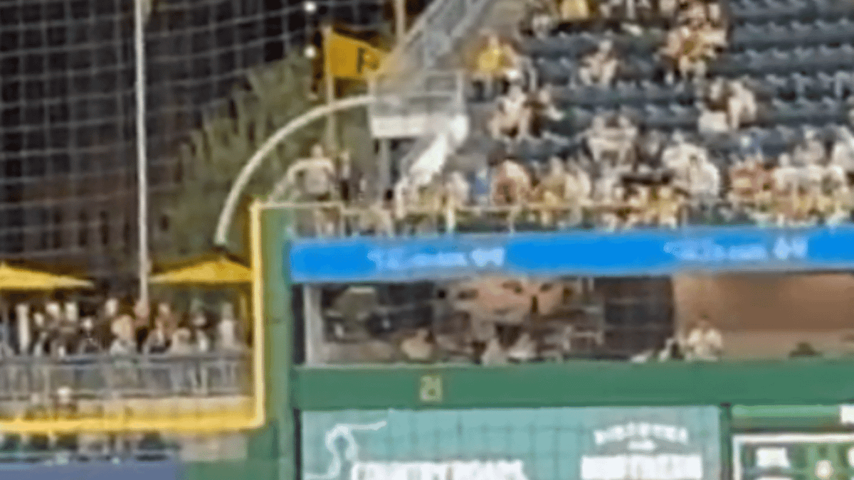 Terrifying moment MLB fan falls from stands during game as players seen ...