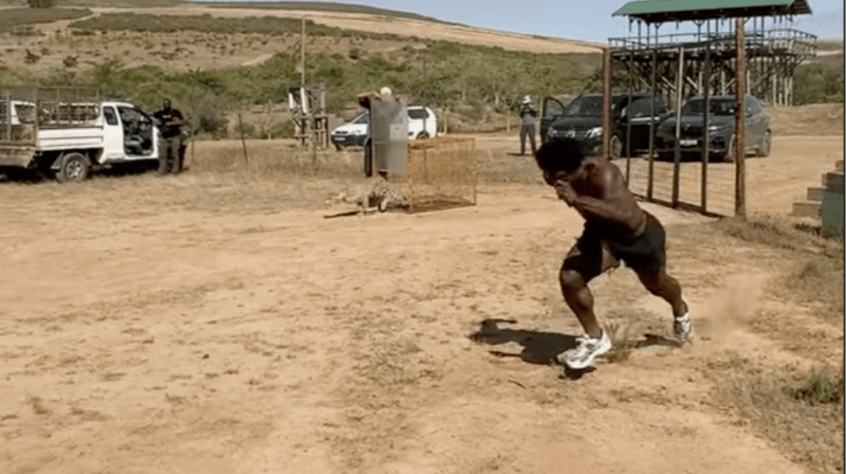 IShowSpeed Races a Wild Cheetah In Sprint As Incredible Footage Emerges