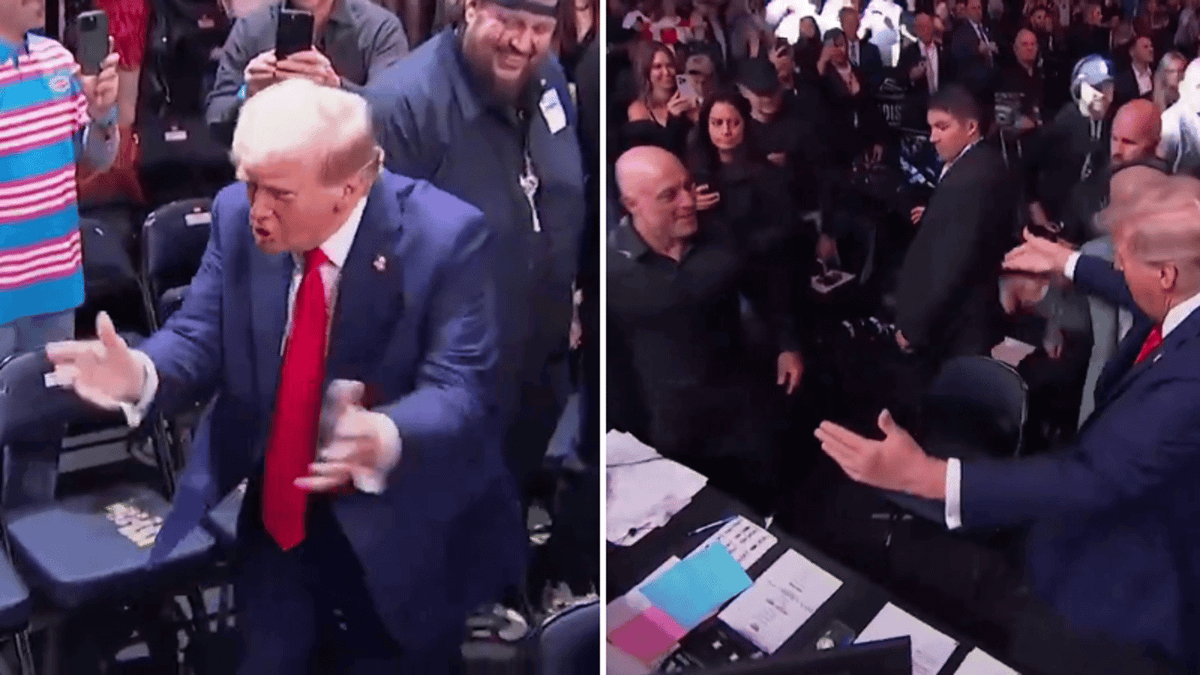Donald Trump's reaction to seeing Joe Rogan at UFC 309 is going viral ...