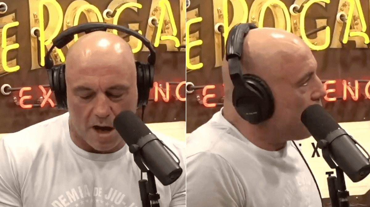 Joe Rogan left in awe watching 'phenomenal' UFC star as training ...