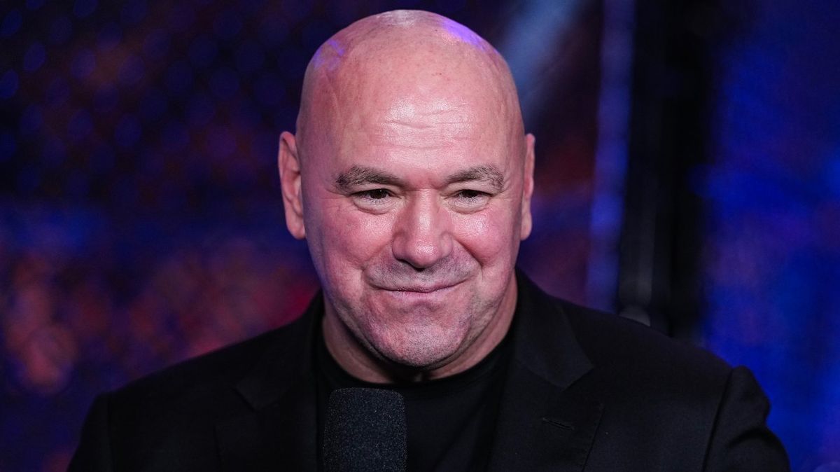 Incredible UFC White House detail revealed by Dana White as Logan Paul ...