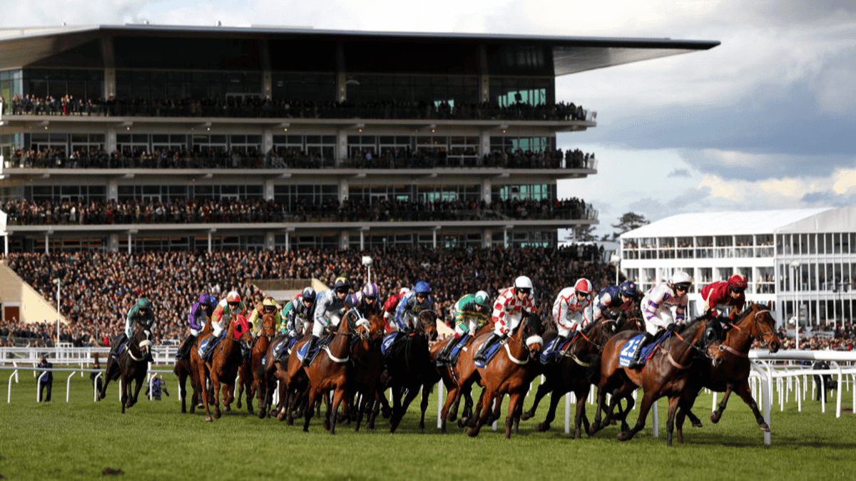 Cheltenham Festival Club Enclosure and Hospitality tickets are still up ...