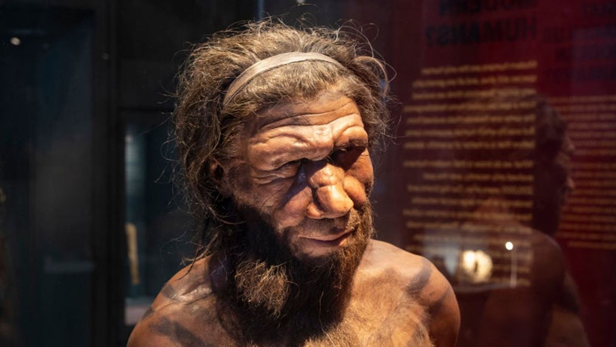 Scientists reveal shocking reason Neanderthals never truly went extinct ...