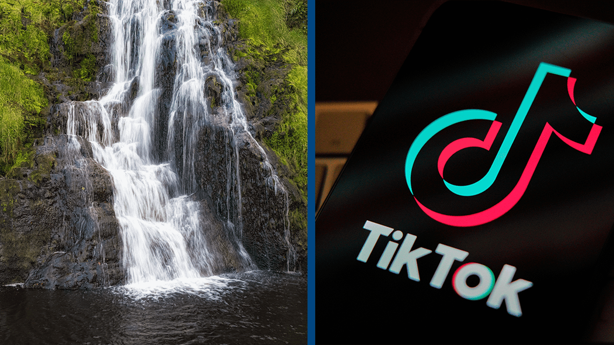 14-year-old TikTok star falls to her death while taking selfie at a ...