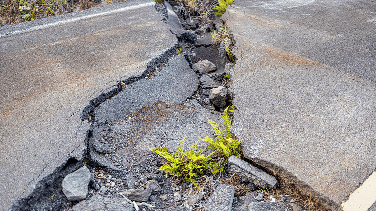 Scientists issue warning of 'The Big One' predicted to be one of the ...