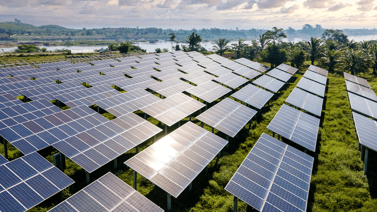 Solar power makes history as it becomes main source of electricity for ...