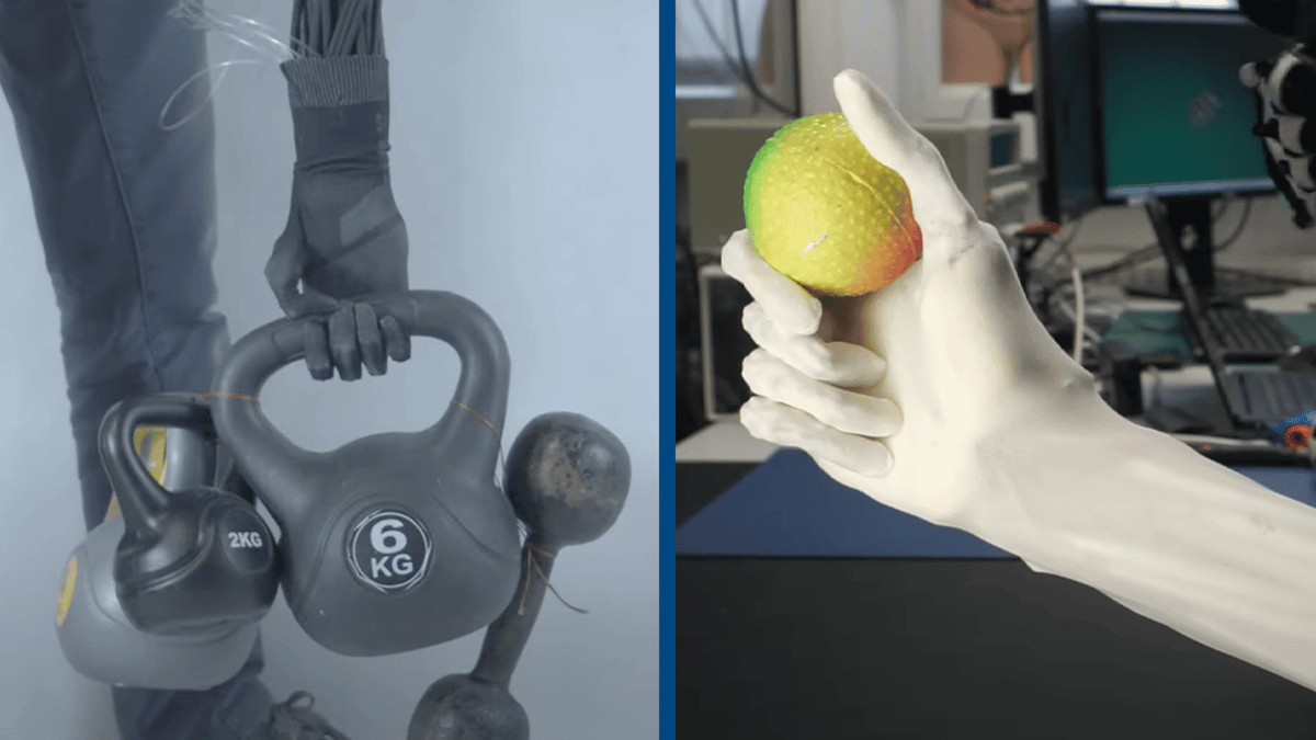 People 'fascinated' as robot hand with human-like muscle lifts weights ...