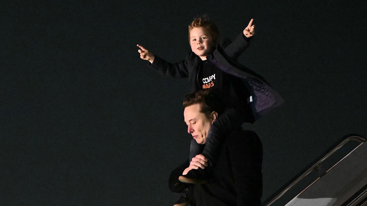 Elon Musk's 'secret plan' to father 5,000 kids revealed in alleged ...