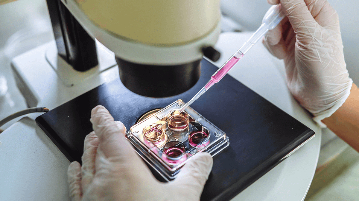 Scientists rewrite human history with recent groundbreaking DNA discovery