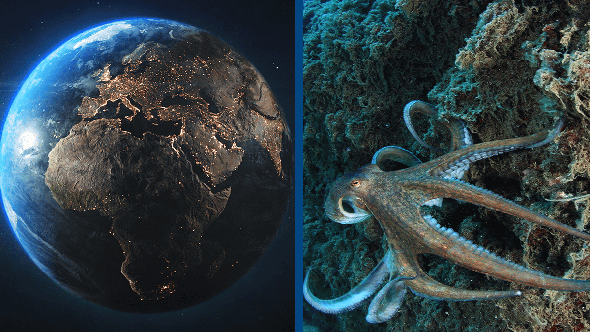 Scientists reveal which creature will take over the world if all humans ...