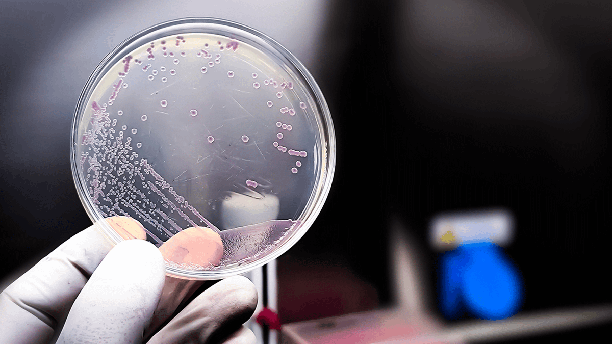 Scientists create new virus using AI-written genetic code in dystopian ...