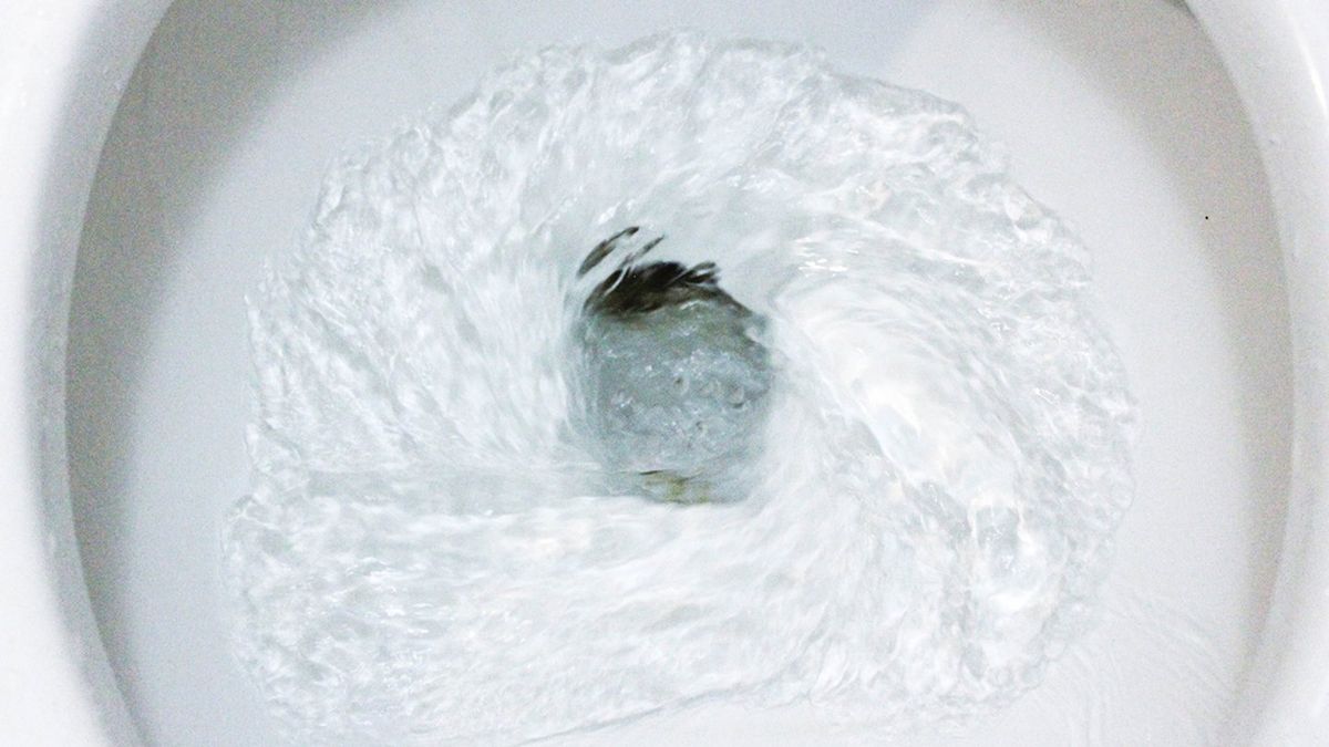 Insane ‘boil in a bag’ funerals that flushes bodies down the drain ...
