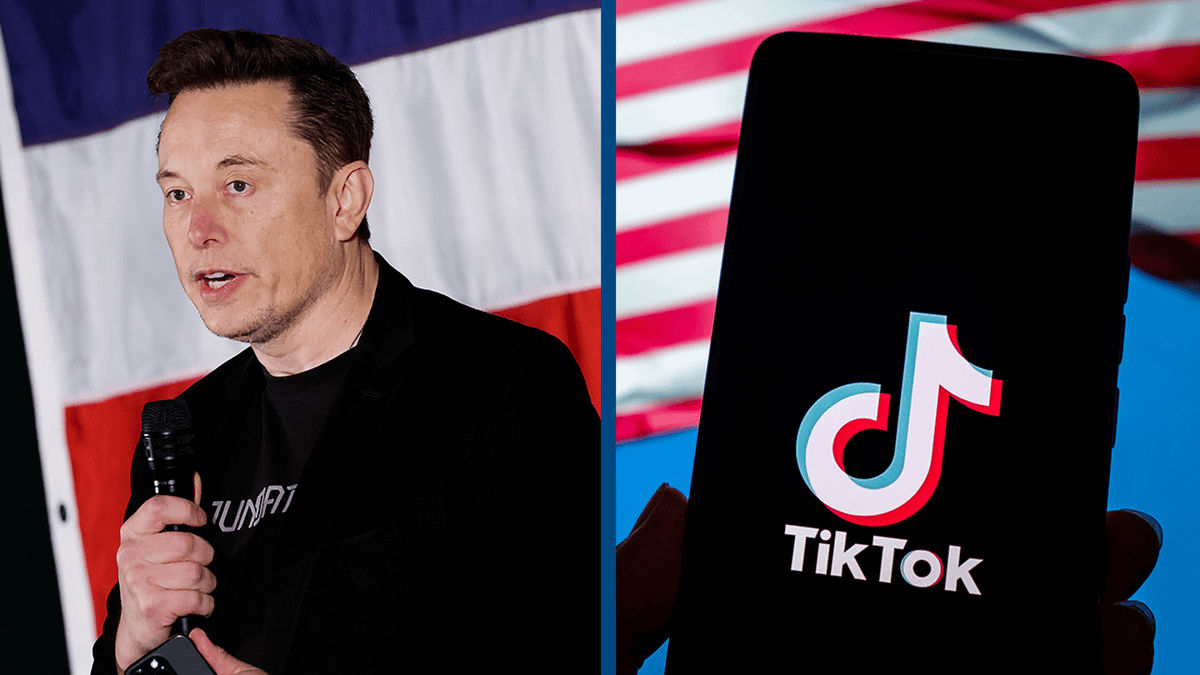 How much TikTok would really cost if billionaire Elon Musk were to buy it