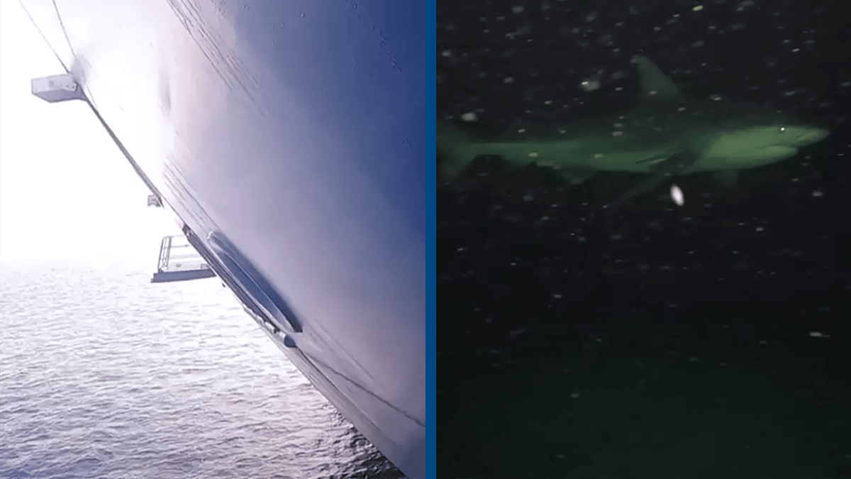People left ’terrified’ after man on cruise ship drops GoPro in the ...