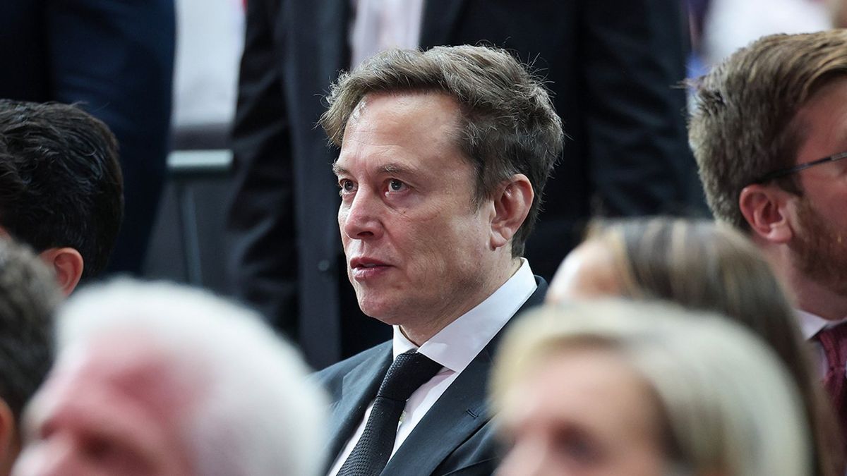 Elon Musk branded 'a criminal' by politician who calls for his arrest ...