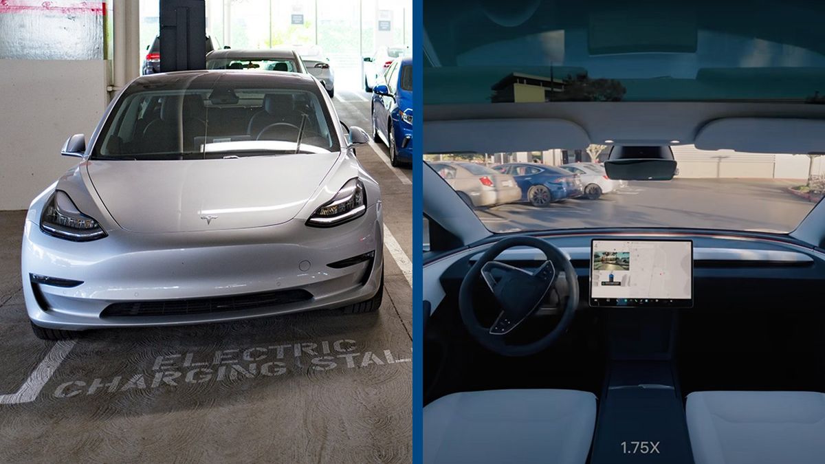 People are obsessed with Tesla's new ASS system saying it's one of the ...