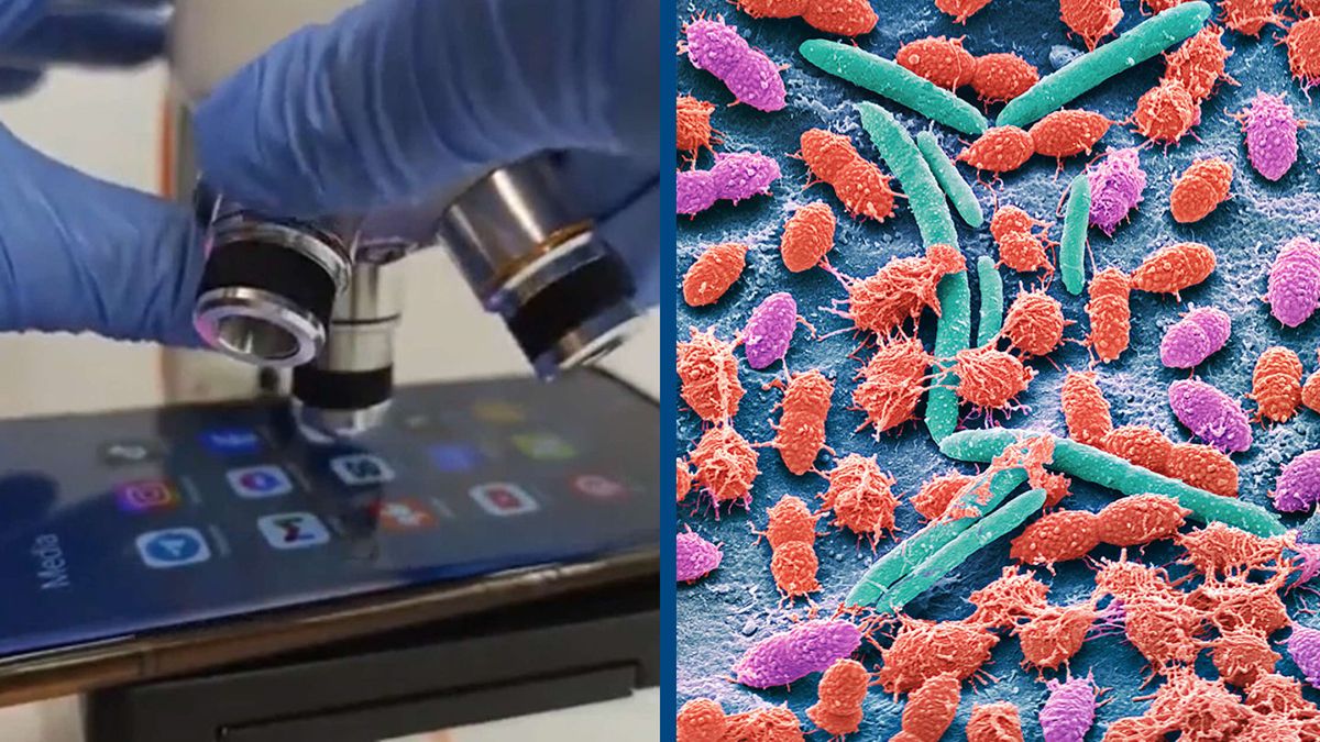 Horrifying video of phone under a microscope and shows how disgusting ...