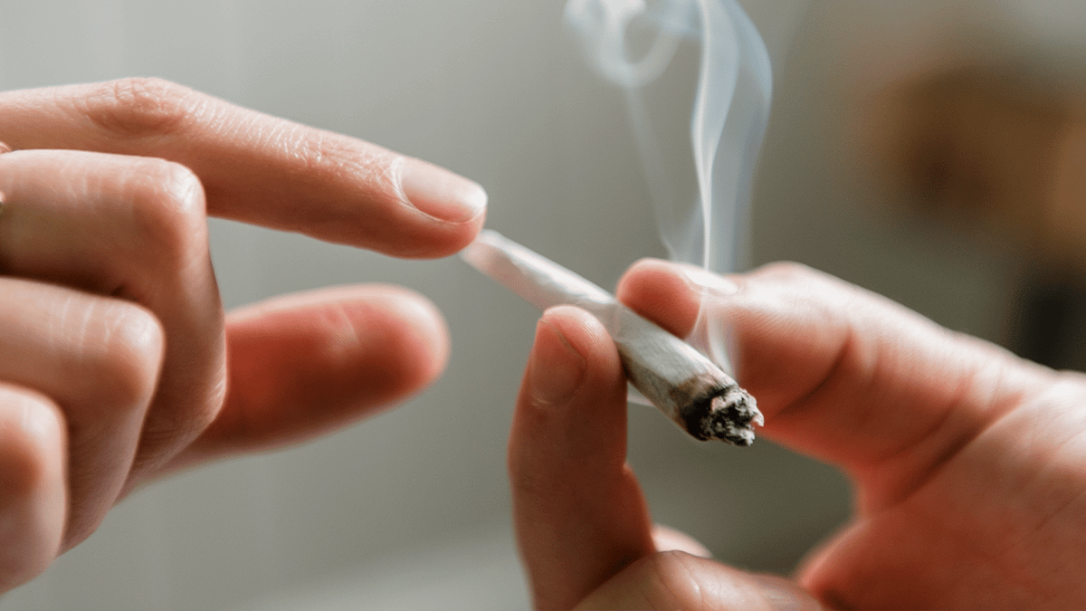 Heart surgeon reveals what happens to your body whilst smoking weed ...