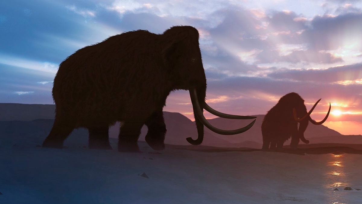 Biotech boss working to bring back woolly mammoth and dodo hits back at ...