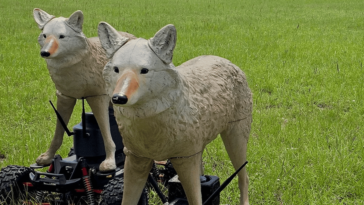 Bizarre reason robot coyotes are protecting the US Army