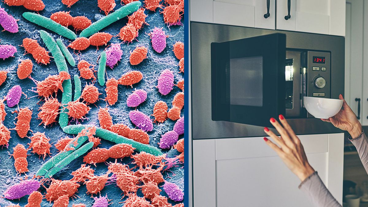 Scientists discover that microwaves are home to far more radiation ...