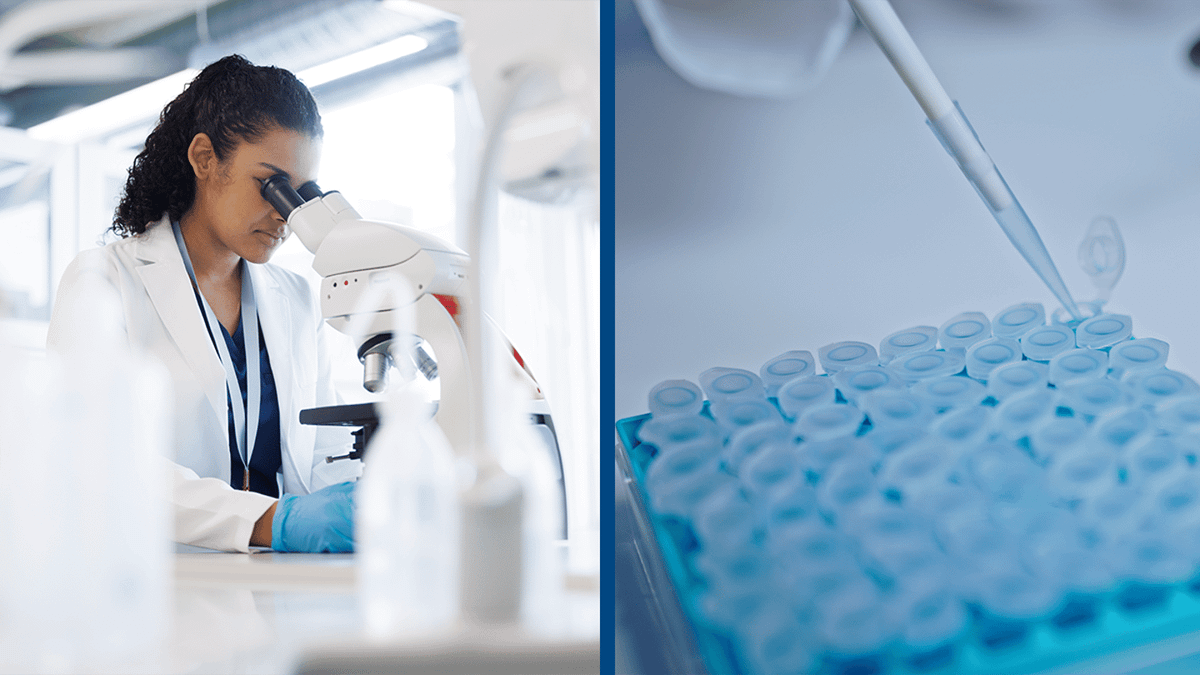 Worlds first lab-grown testicles may be capable of reproduction
