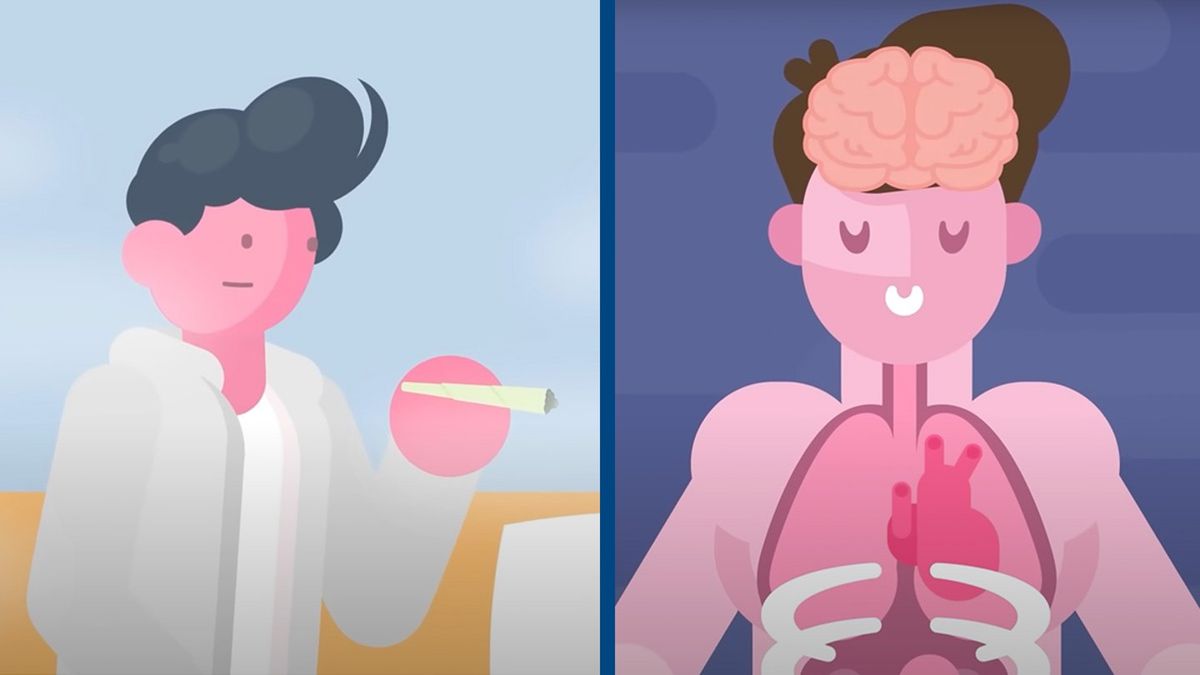 Mind-blowing simulation shows what happens to your body and mind when ...