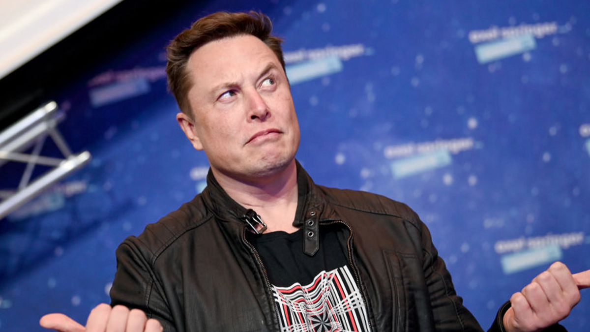 Elon Musk says country with 58 million residents is 'disappearing' in ...