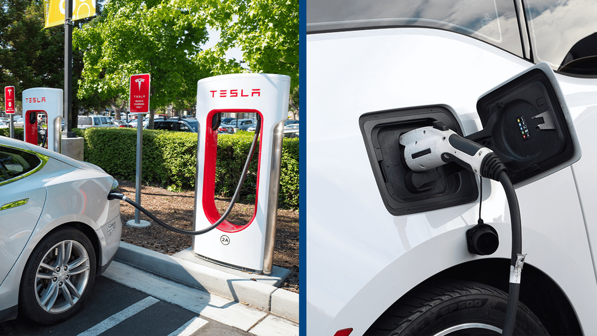 Tesla driver shares first bill in 12 months and people are convinced it ...