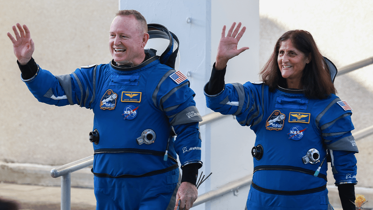 'Stranded' NASA astronaut says Elon Musk is wrong on $800,000,000 ...