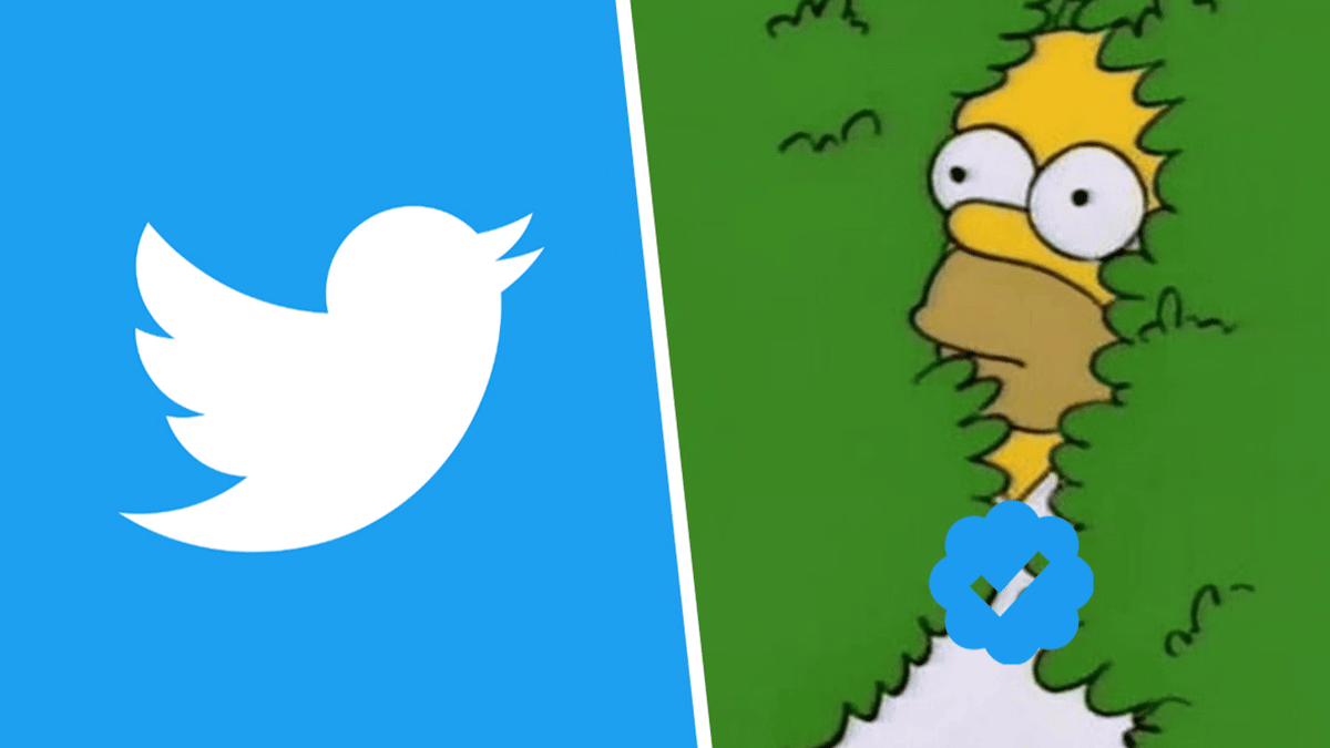Twitter Blue subscribers are being shamed into hiding the tick they ...