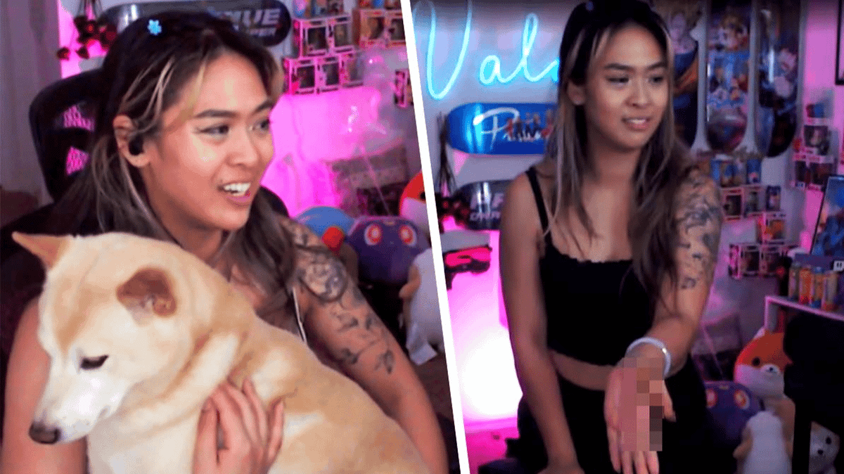 Twitch streamer horrified as dog poops on her mid-broadcast