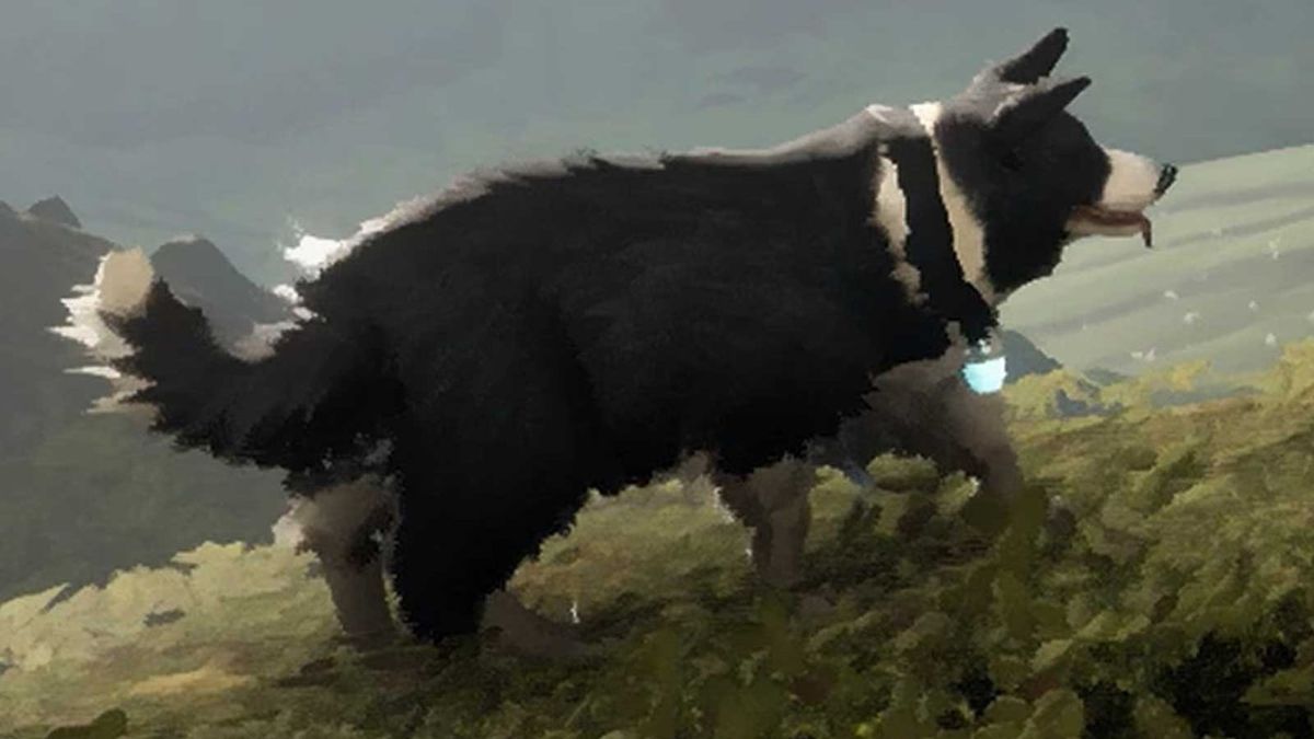 New Game Perfect For Dog-Lovers is Death Stranding Meets Stray