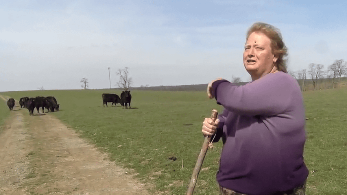 Family turns down $26million offer from Fortune 100 company for ...