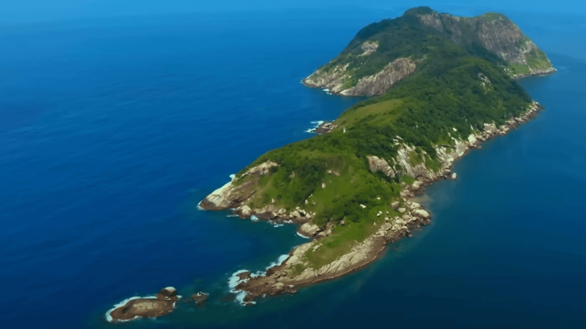 Why no human is allowed to visit Snake Island home to 4,000 of world’s ...