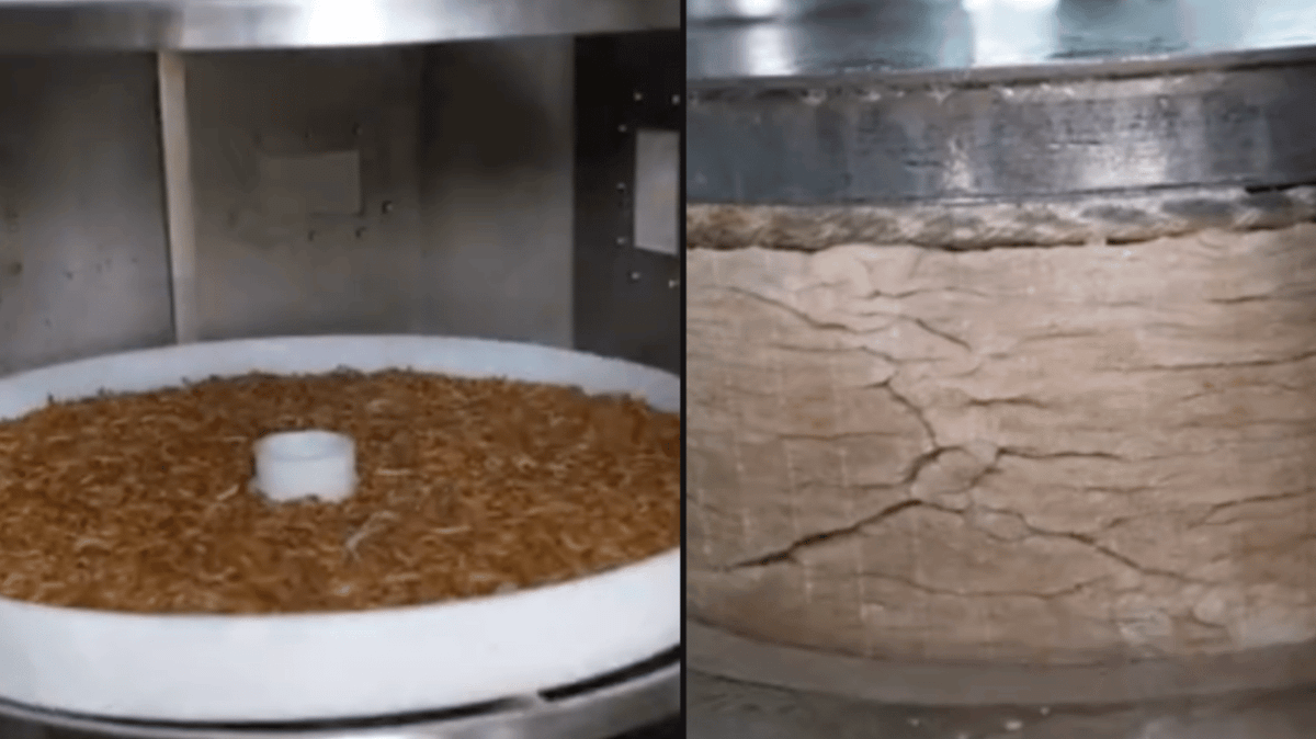 People vow to ‘never’ use protein powder again after seeing ‘disgusting ...